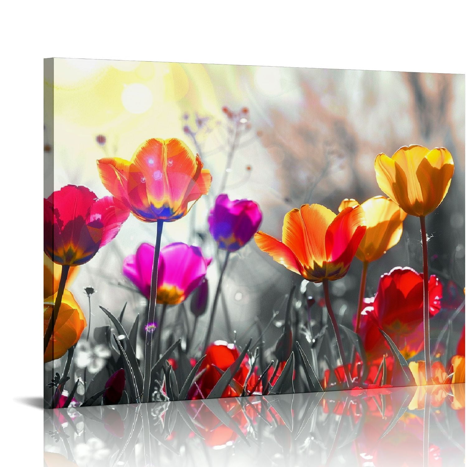 JEUXUS Black and White Red Flower Canvas Elegant Tulip Painting Prints ...