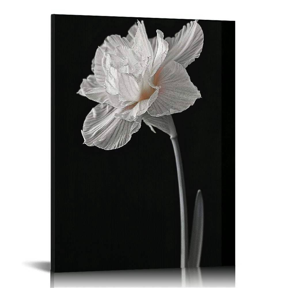 JEUXUS Black and White Flower Canvas Art Tulip Calla and Narcissus ...