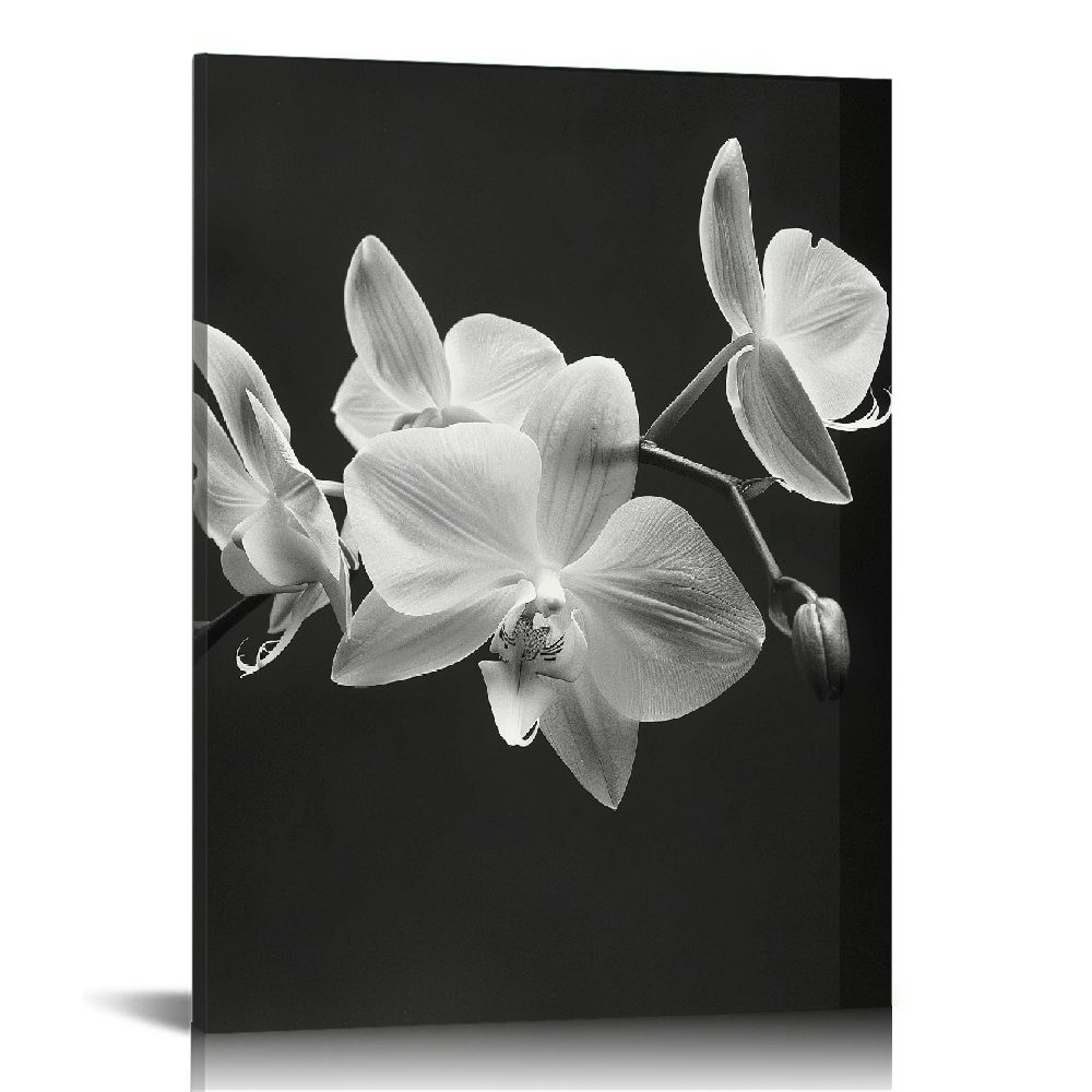 JEUXUS Black and White Flower Canvas Wall Art Orchid Pictures Wall ...
