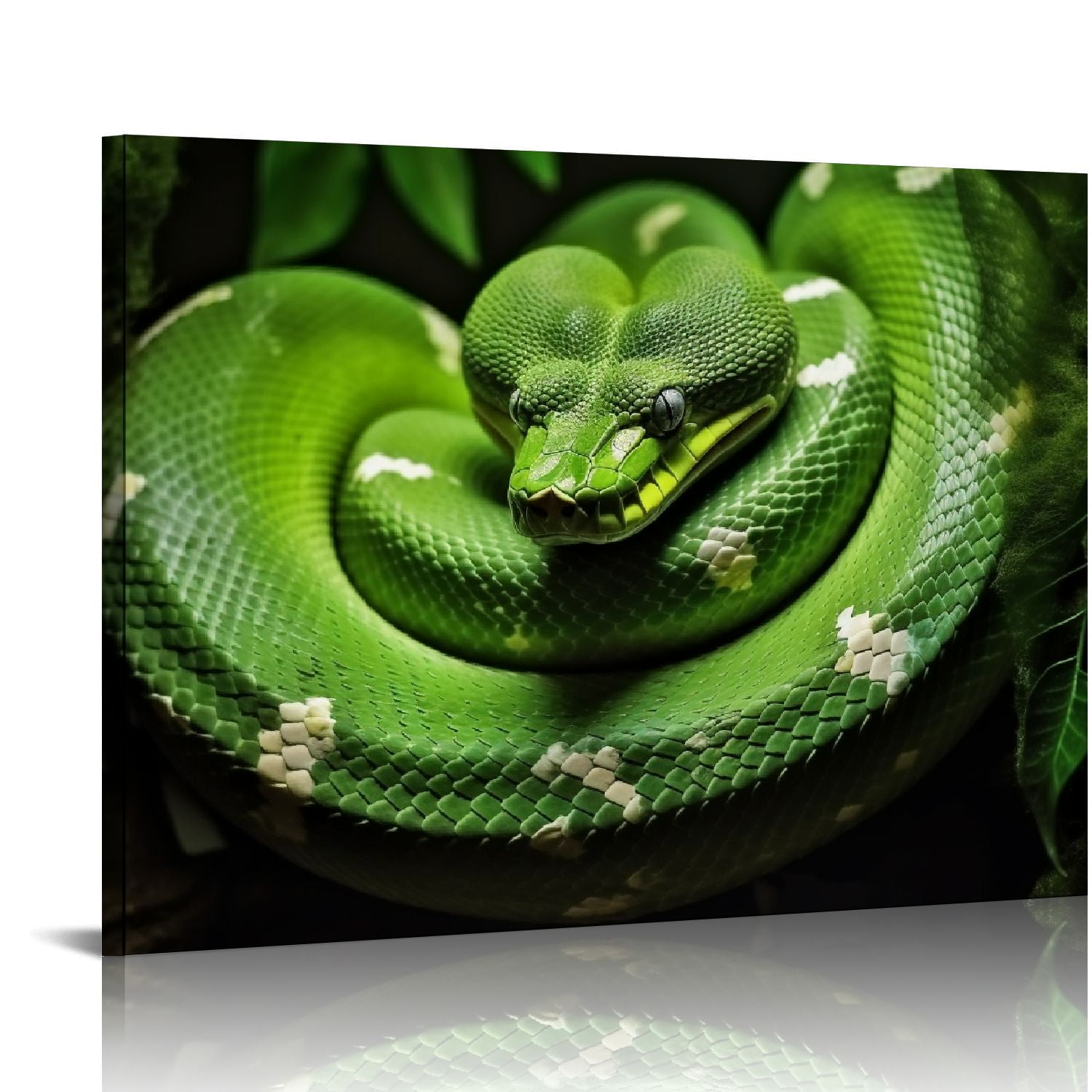 JEUXUS Canvas Wall Art Snake Posters Pictures Wall Decor Animal Prints ...