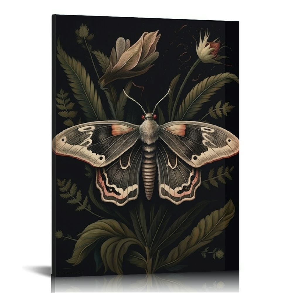 JEUXUS Dark Academia Insect Moth Poster for Room Goblincore Vintage ...