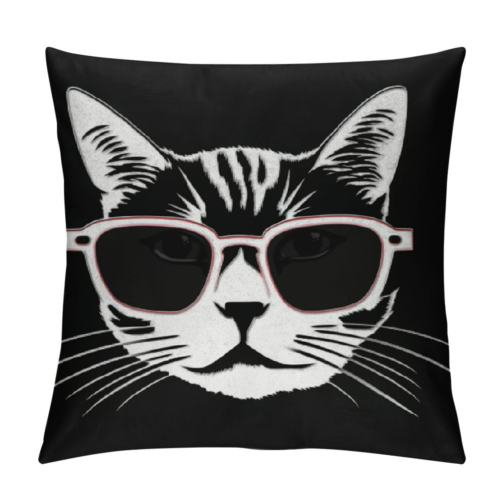 JEUXUS Funny Cat Pillow Covers, Funny Cat Gifts, Cat Throw Pillow Cover ...