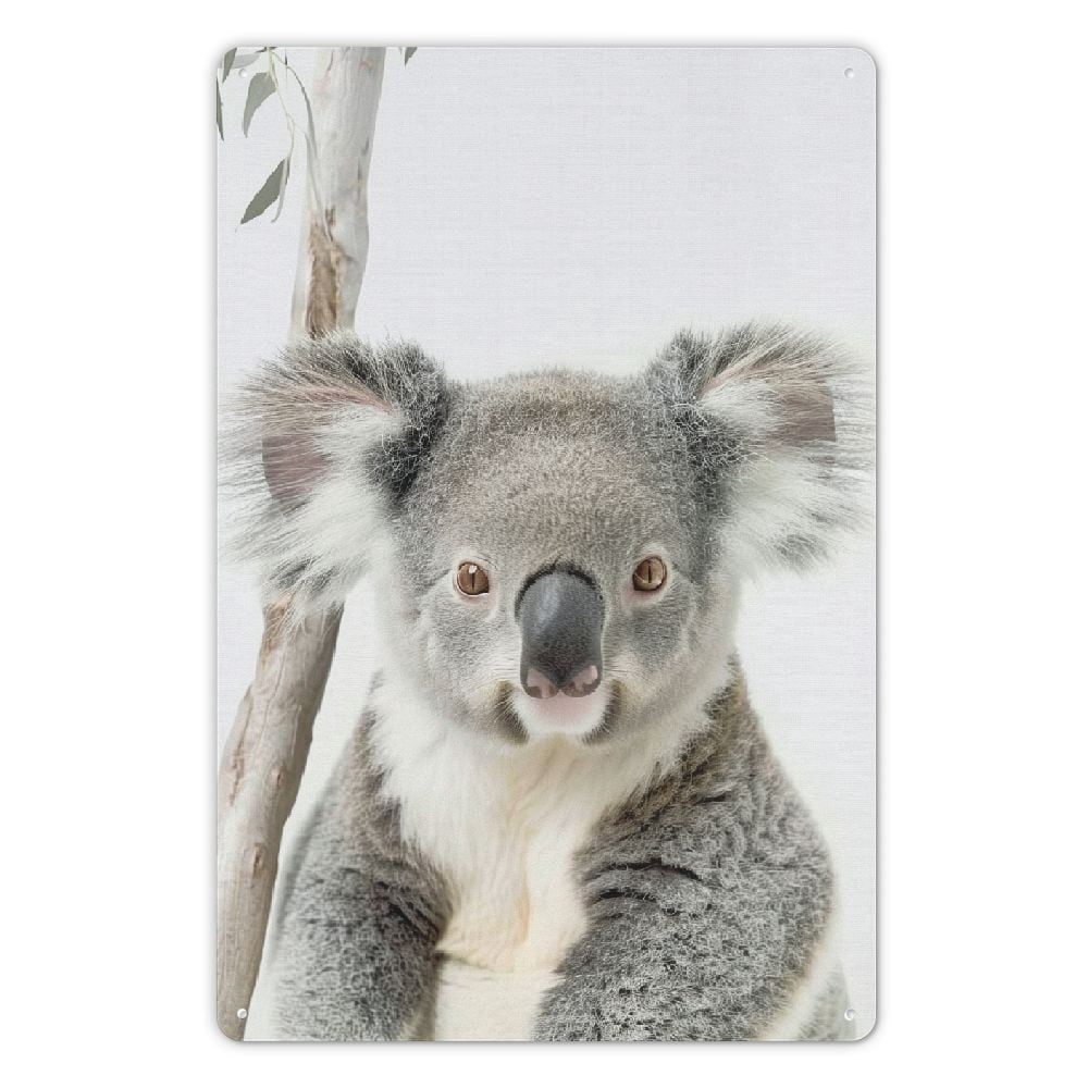 JEUXUS Koala Bear Hanging Sign 8x12in - Walmart.com