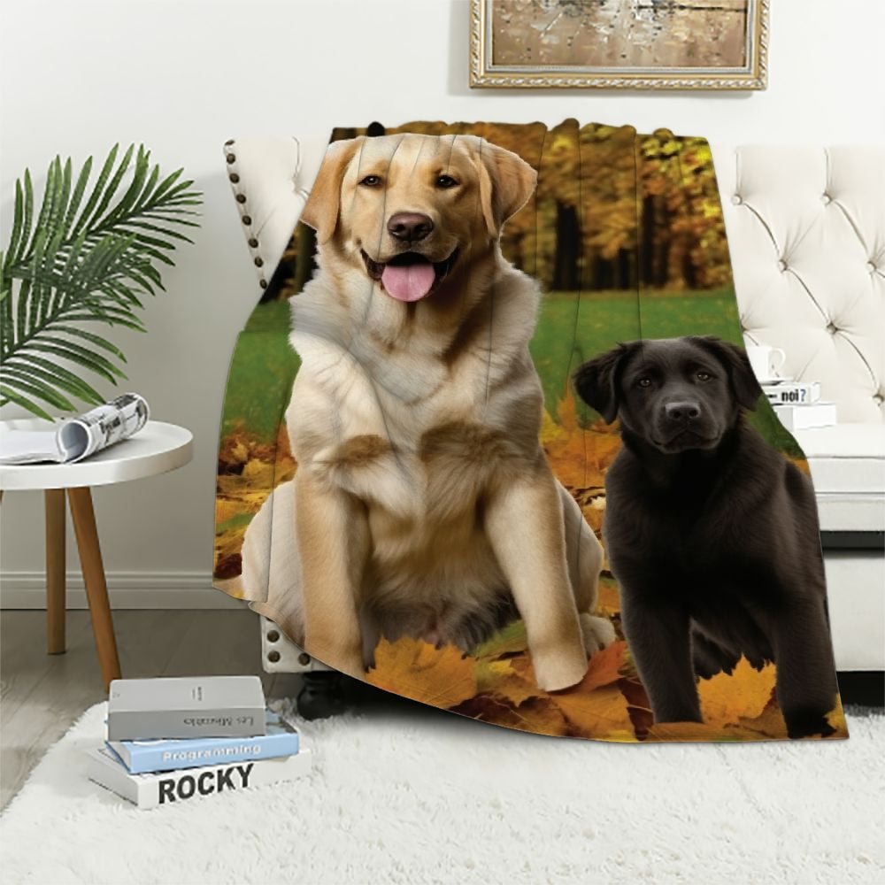 JEUXUS Labrador Dog and Lab Puppy in The Park Throw Blanket - Walmart.com