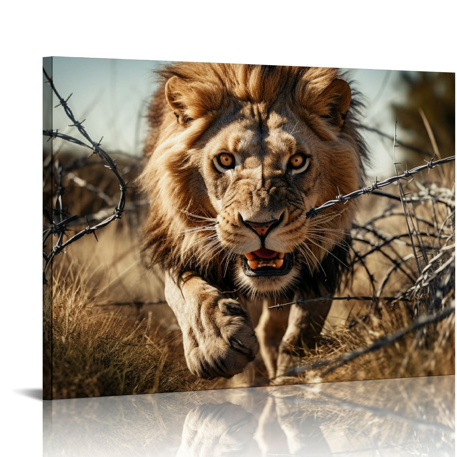 JEUXUS and Lioness Canvas Prints Framed Brown African Animal Pictures ...