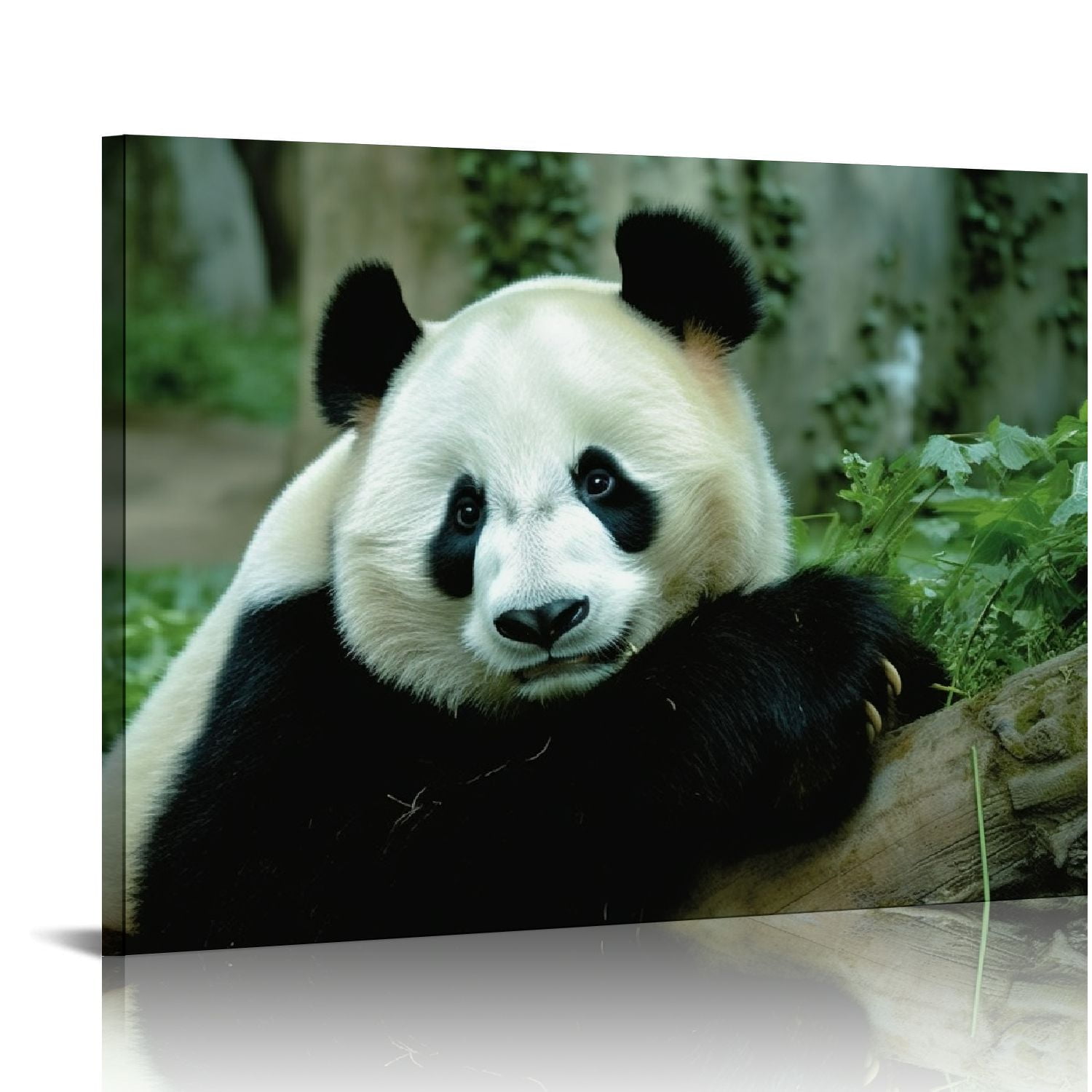 JEUXUS Panda Canvas Wall Art Living Room Poster Animal Pictures Bedroom ...