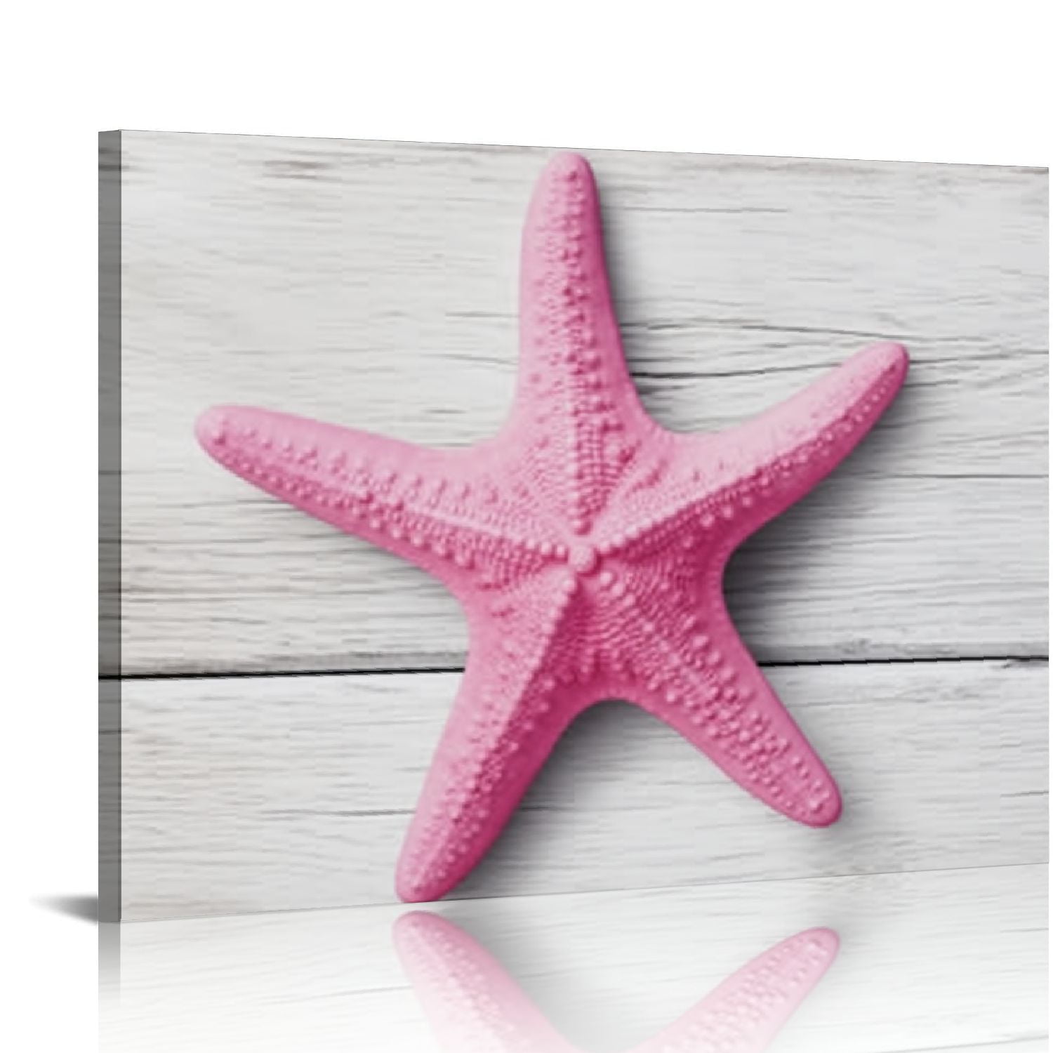 JEUXUS Pink Artwork Rustic Conch Shells Starfish Ocean Theme Coastal ...