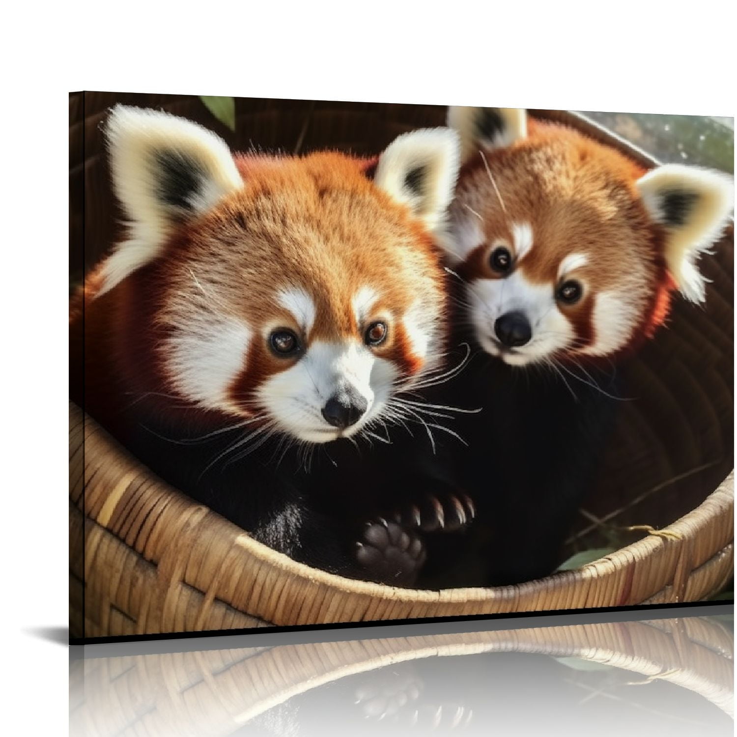 JEUXUS Red Panda Posters Animal Prints Canvas Wall Art Bedroom Kids ...