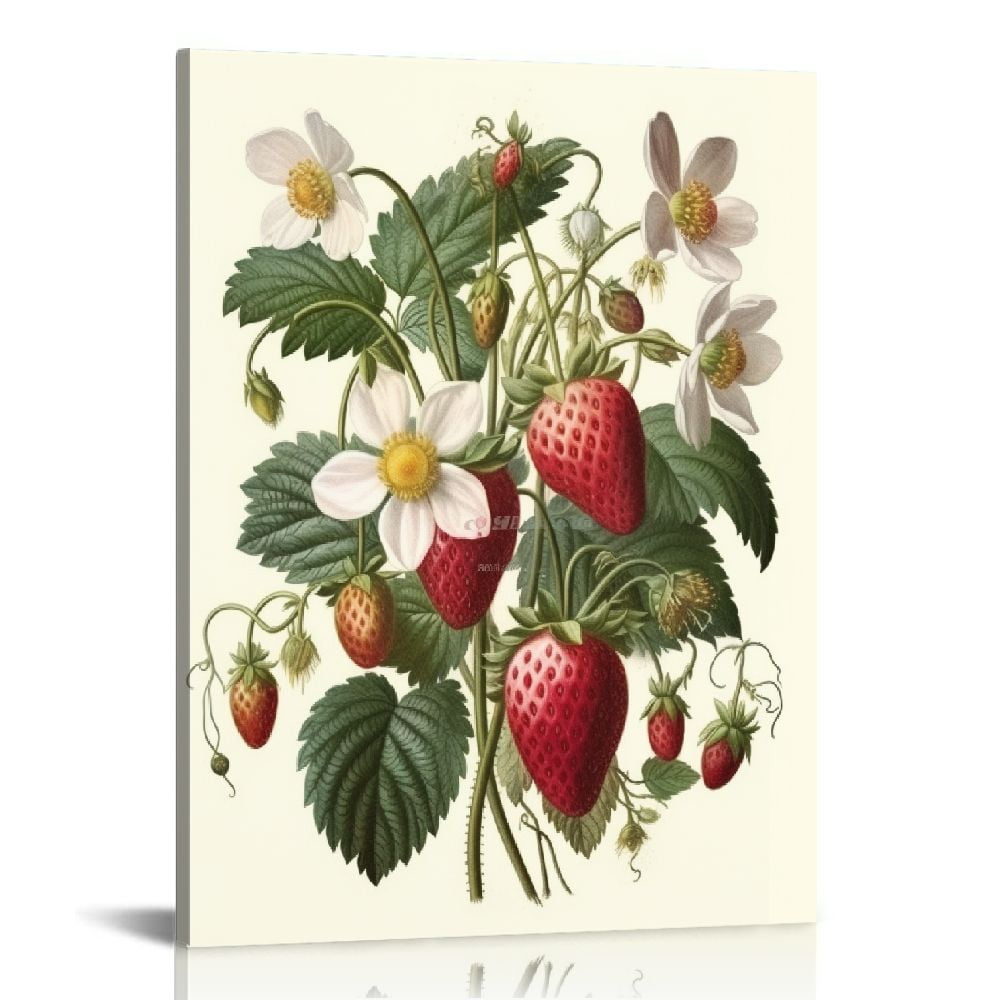JEUXUS Strawberry Art, French Botanical Print - Berry Red Wall Art ...