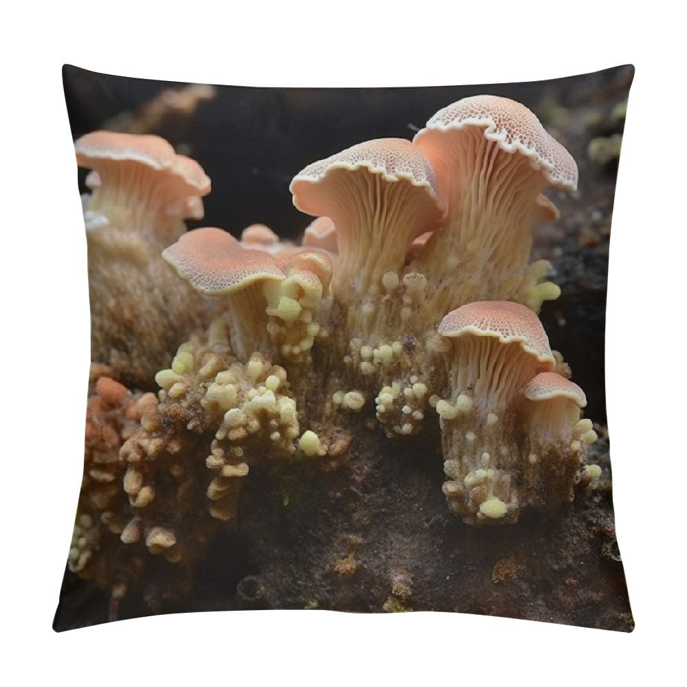Jeuxus Throw Pillow Cover Rain Wet Bracket Fungi Mushroom Shelf Fungi