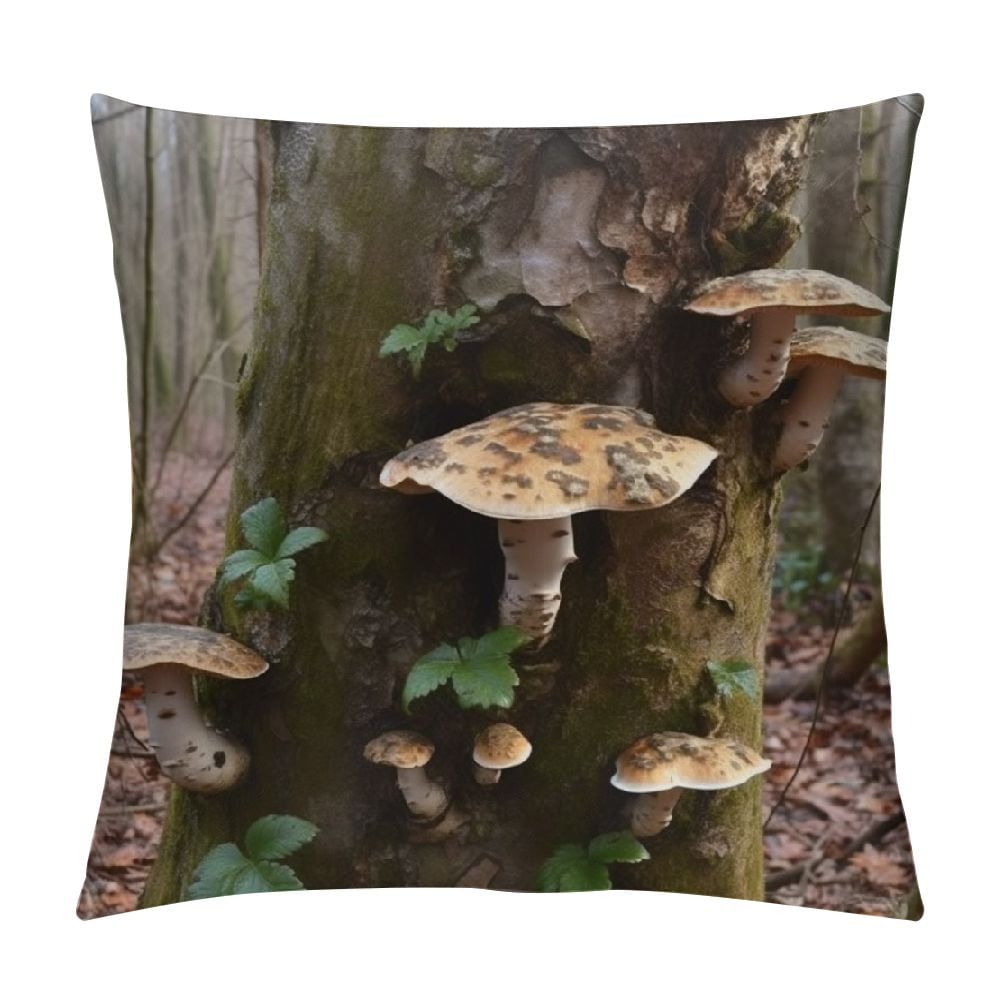 Jeuxus Throw Pillow Cover Shelf Fungus On Tree Fungus Fungi Plant
