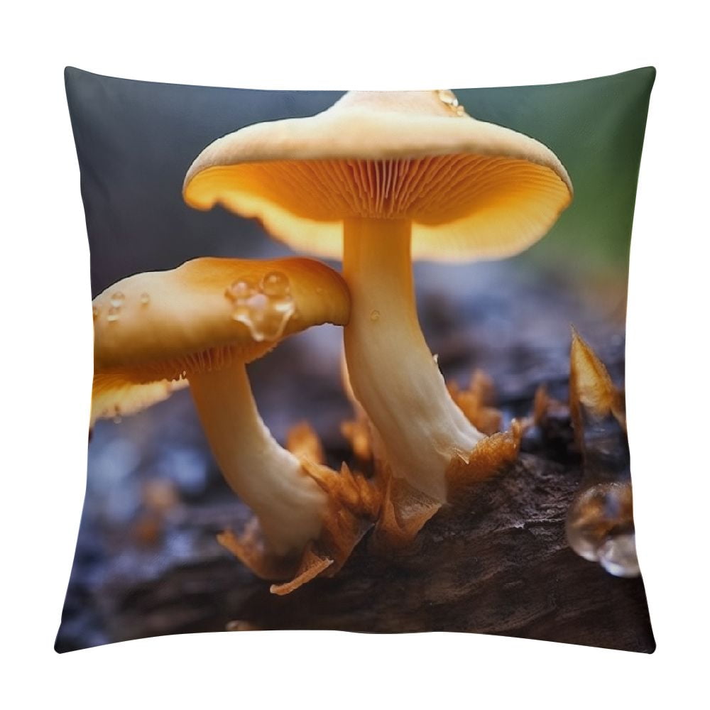 Jeuxus Throw Pillow Cover Toadstools Fungus Mushroom Nature Fungi