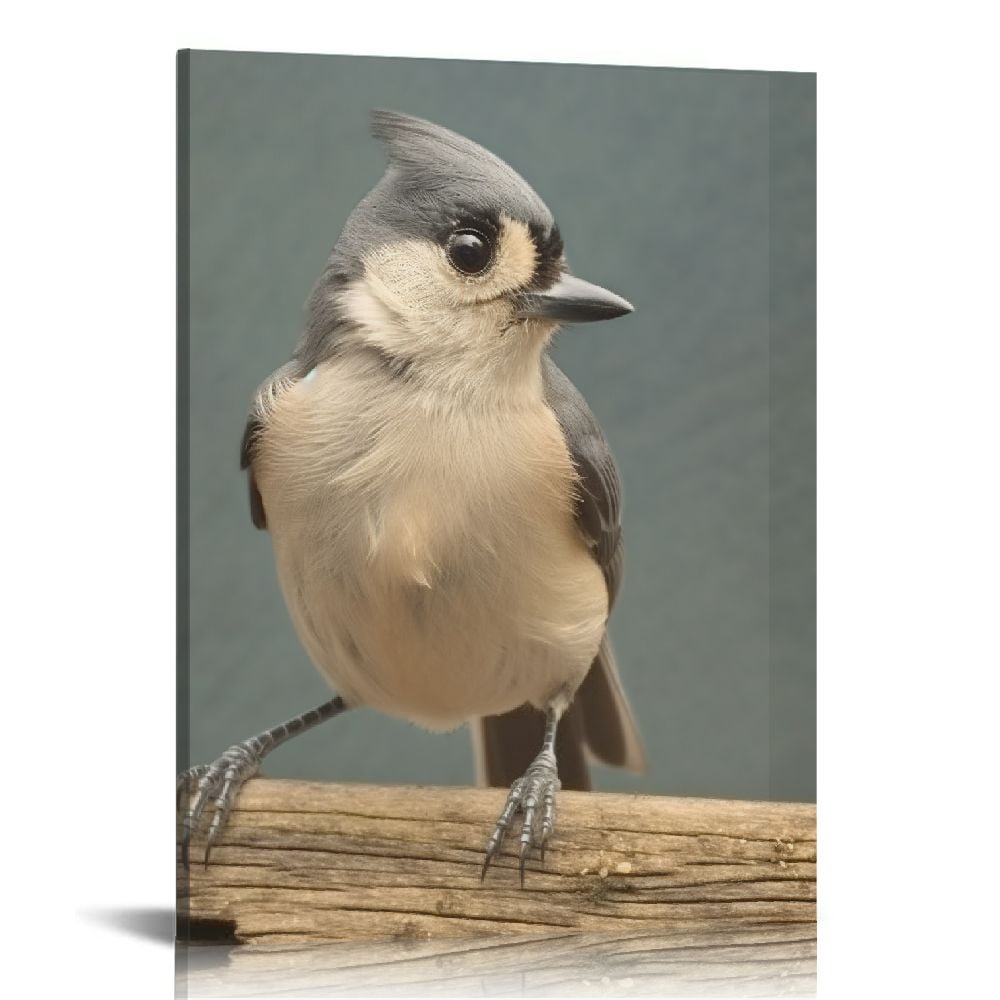 JEUXUS Tufted Titmous Bird Eat Nuts Room Aesthetics Posters Canvas ...