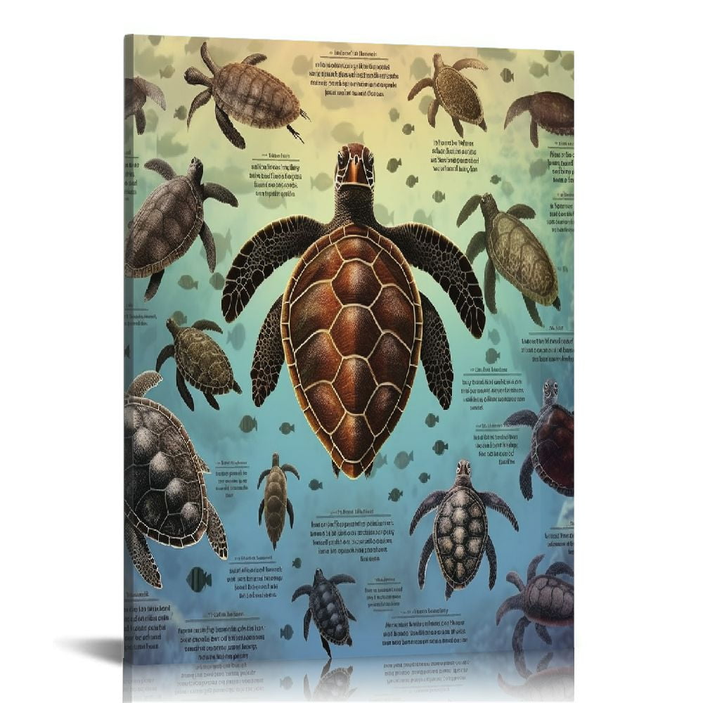 RUIYC Types of Sea Turtles Tin Sign Poster Aquarium Bedroom Restaurant ...