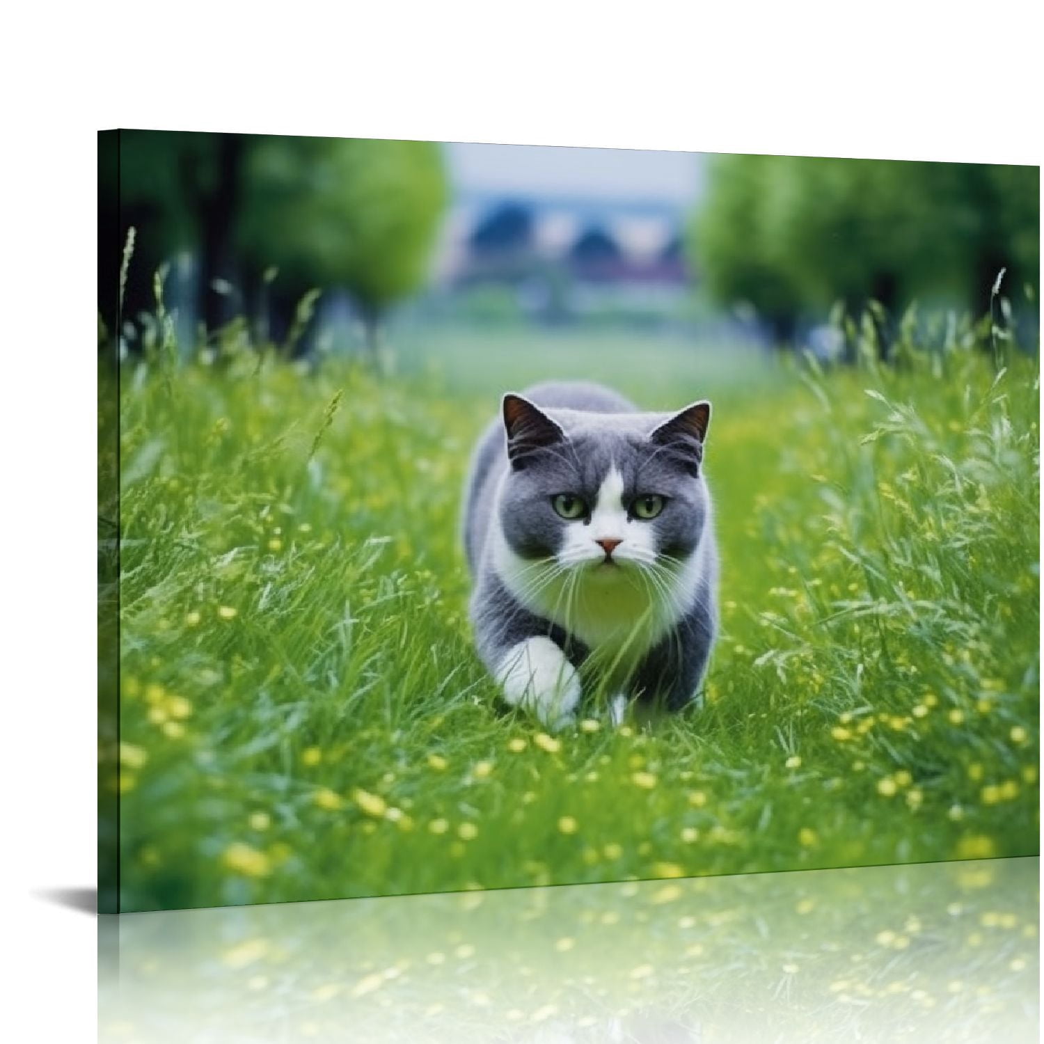 JEUXUS Wall Canvas Kitten Cat Poster Shorthair Cat Art Wall Art Vintage ...