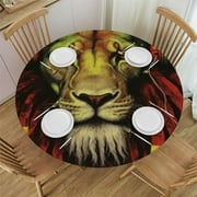 Rasta Party Decorations