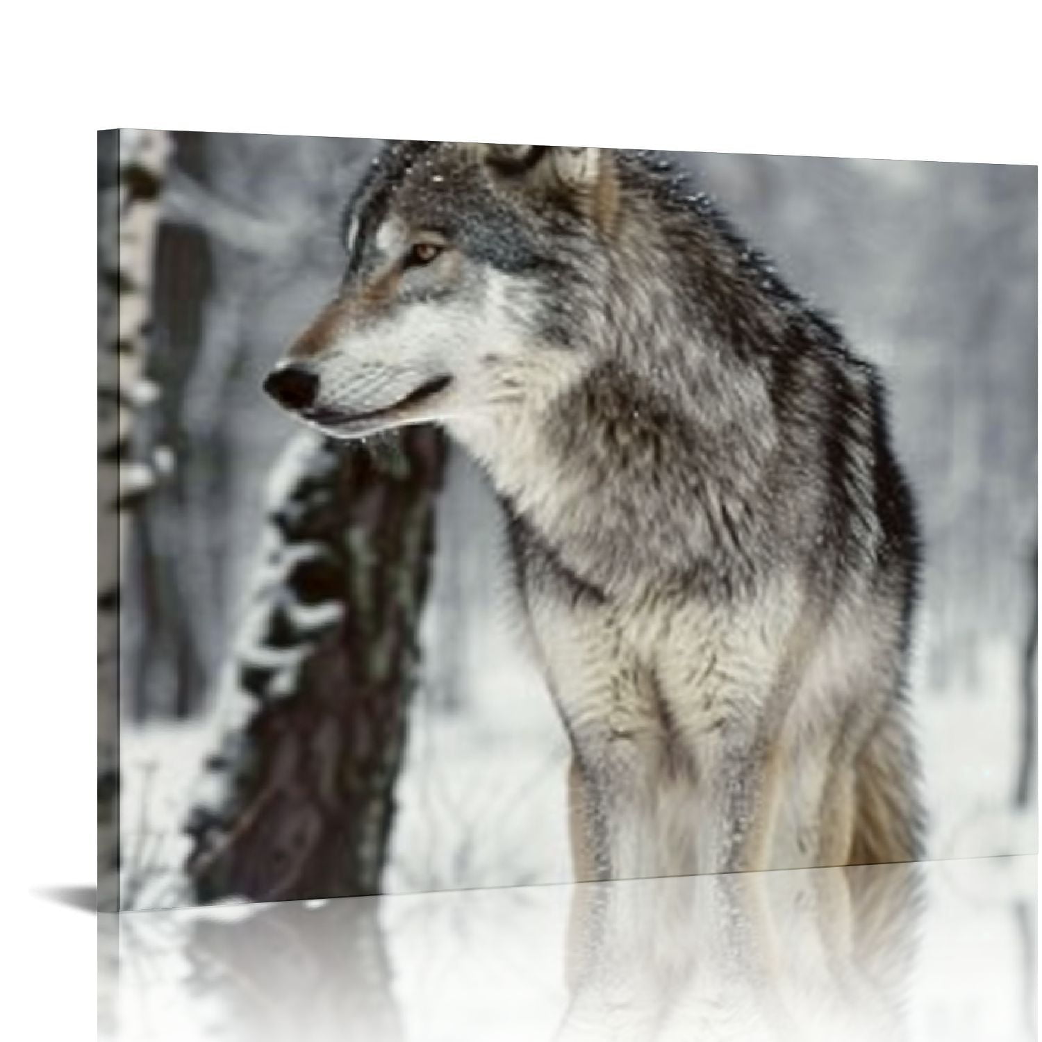 JEUXUS Wildlife Wolf Canvas Wall Art: Animal in Snow Forest Picture Art ...