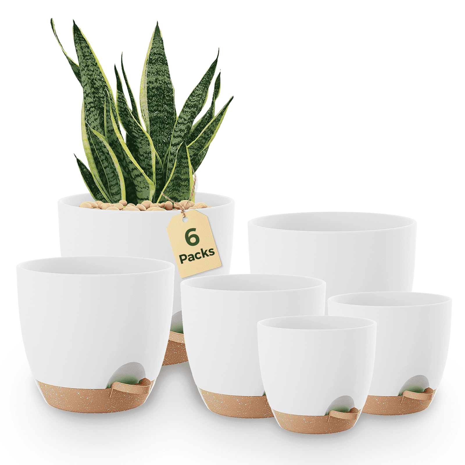 JF Self Watering Pots 6 Pack Plant pots Indoor planters 5/5.5/6/6.5/7/8 ...