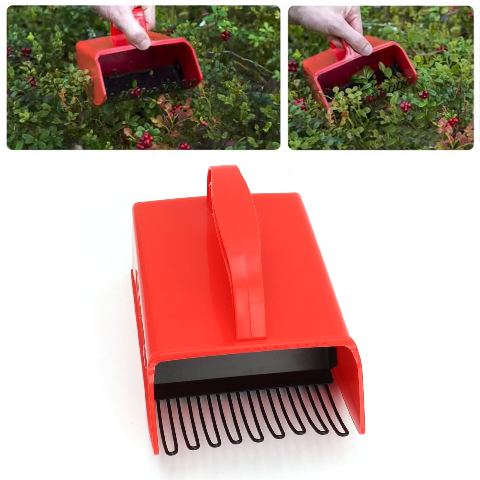 JFBUJC Blueberry Picker Scoop Berry Rake Hand Garden Farm Tool with ...