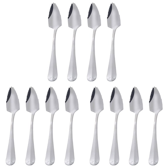 JHEHF Stainless Steel Spoon Handle FruitSpoon with Tooth Edge Dessert ...