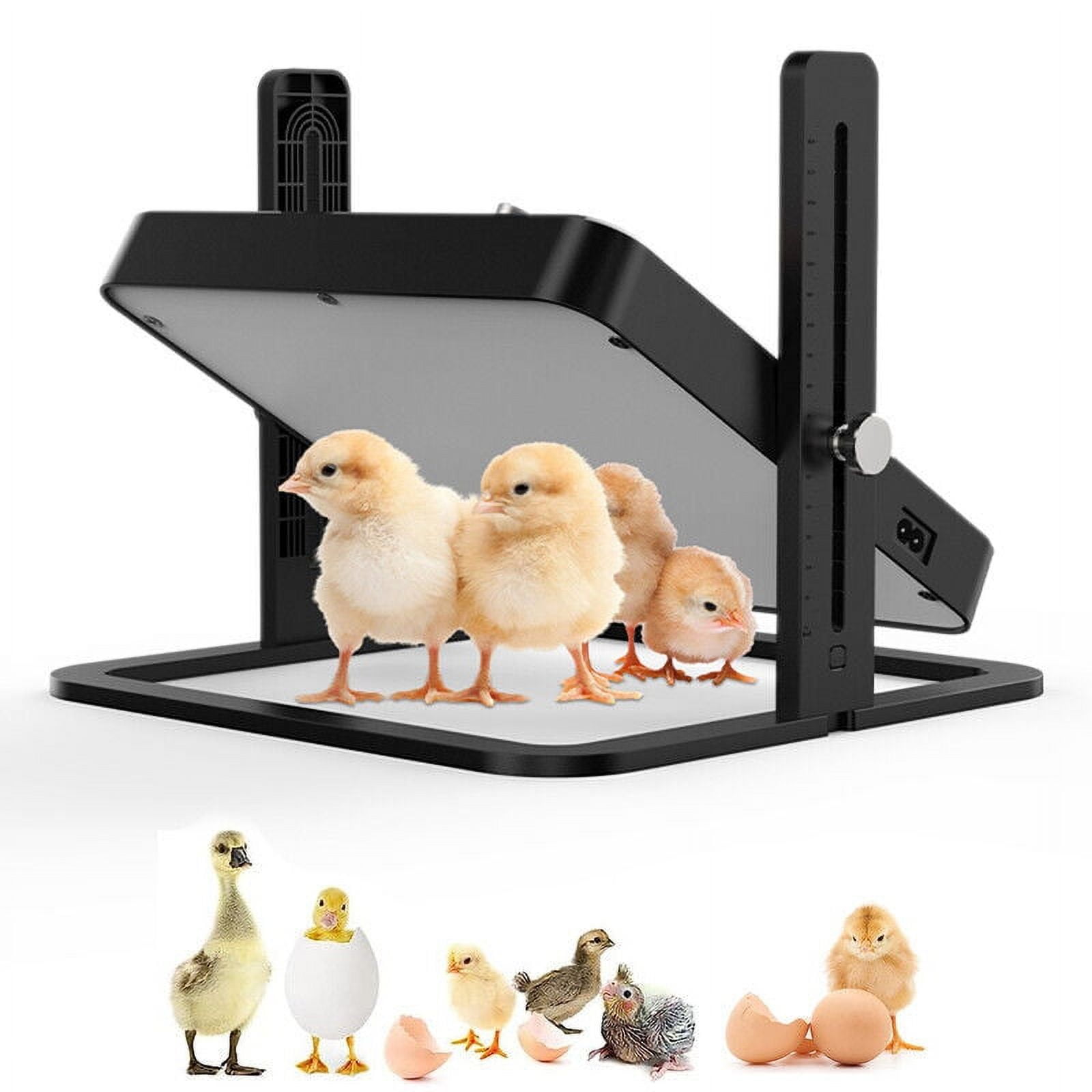 JIAN YA NA Chick Brooder Heating Plate 10 Inch Chicken Coop Heater with ...