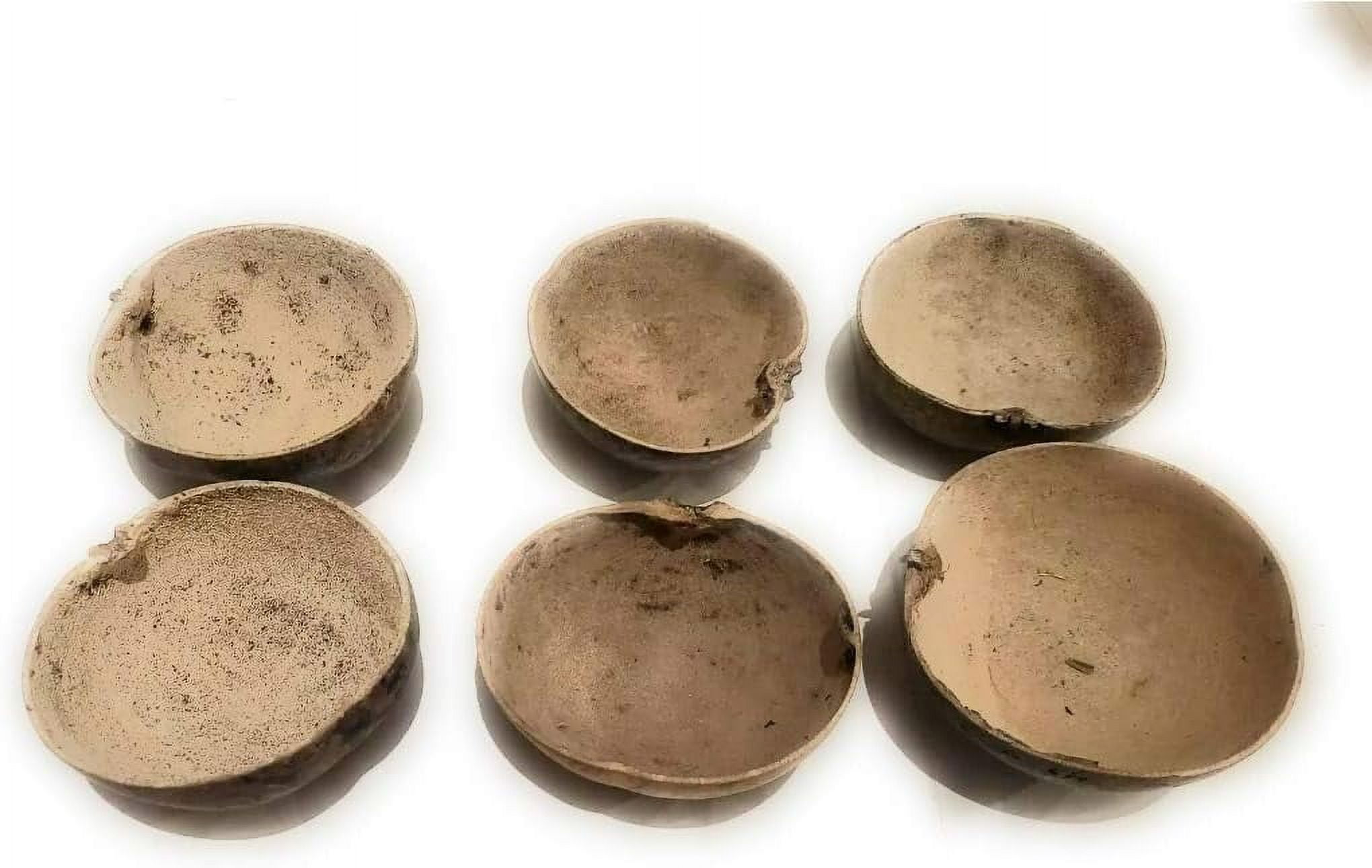 JICARA (6) Small 3-4in Wide Santeria OSHA Santo Ifa Palo - Walmart.com