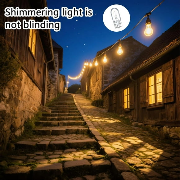 2 Prong Light Bulb