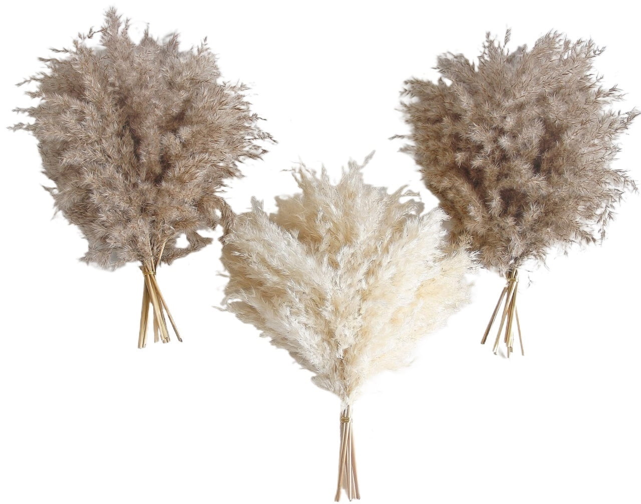 JINpf 30 PCS Boho Decor, Fluffy Pompas Grass, Natural Dry Pampas Grass ...