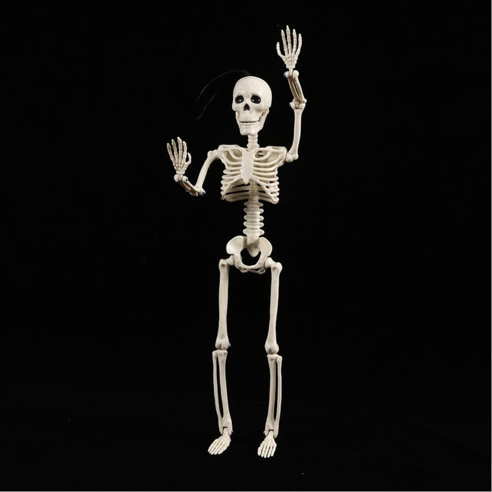 JISBEIFHA 16" Halloween Skeleton with Posable Joints, Full Body ...