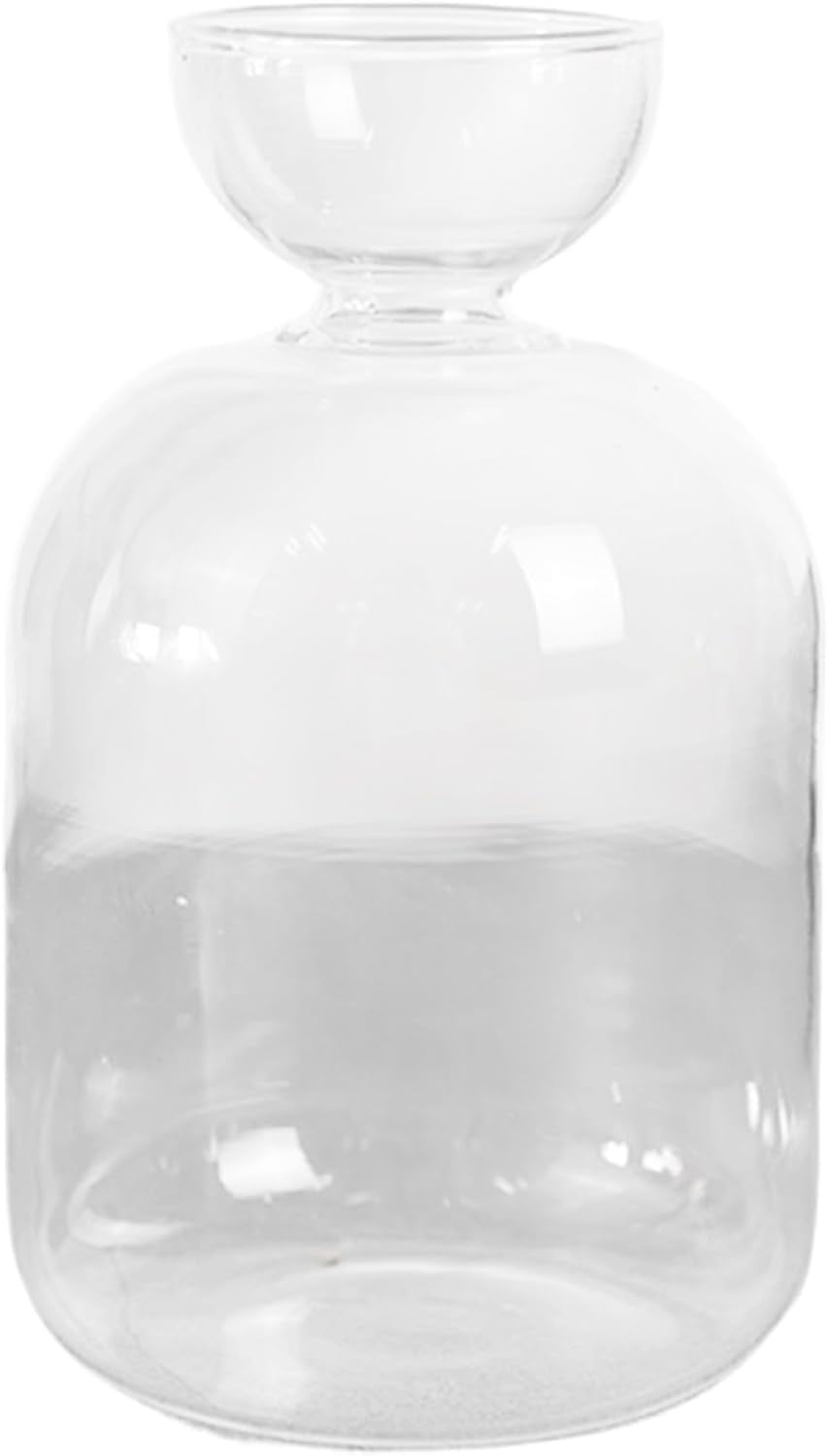 JISBEIFHA Avocado Vase,Avocado Seed Starter Vase 3.4x5.4 Glass Avocado ...