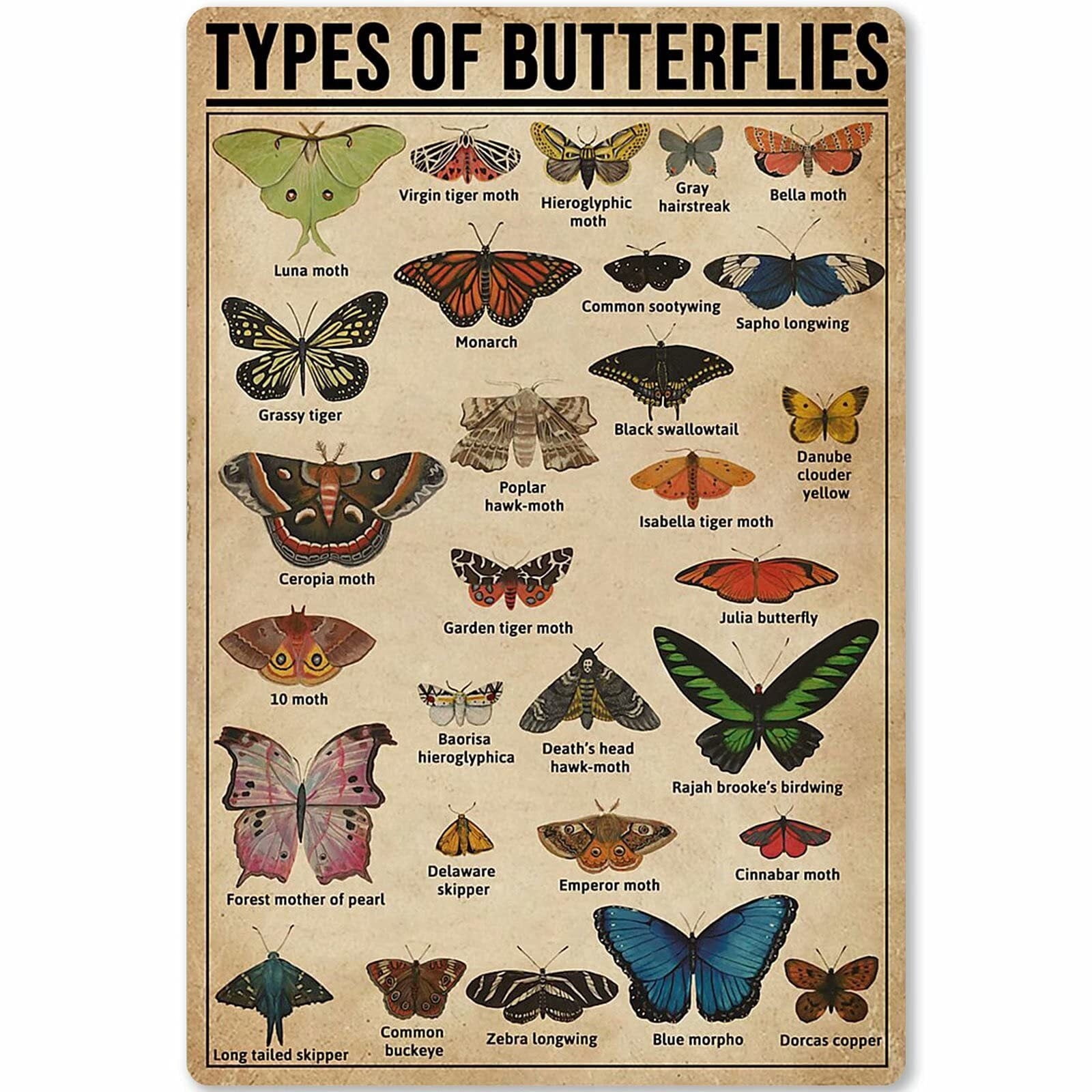 JIUFOTK Types Of animal Posters animal Knowledge Popular Science Guide ...