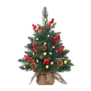 Miniature Spruce