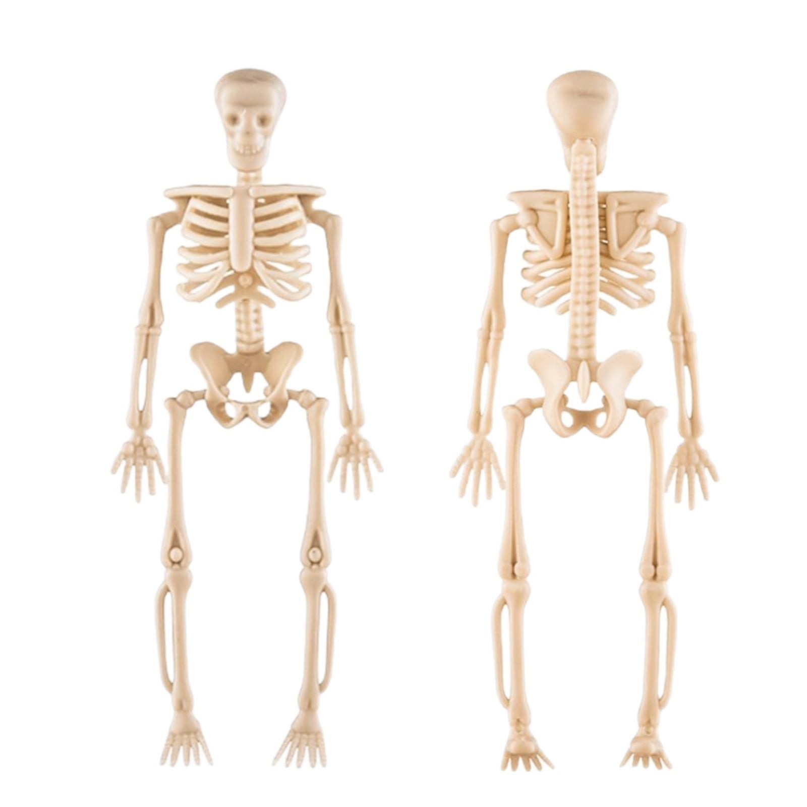 JIhuahe Halloween Decorations DIY Human Skeleton Model Kit, Poseable ...