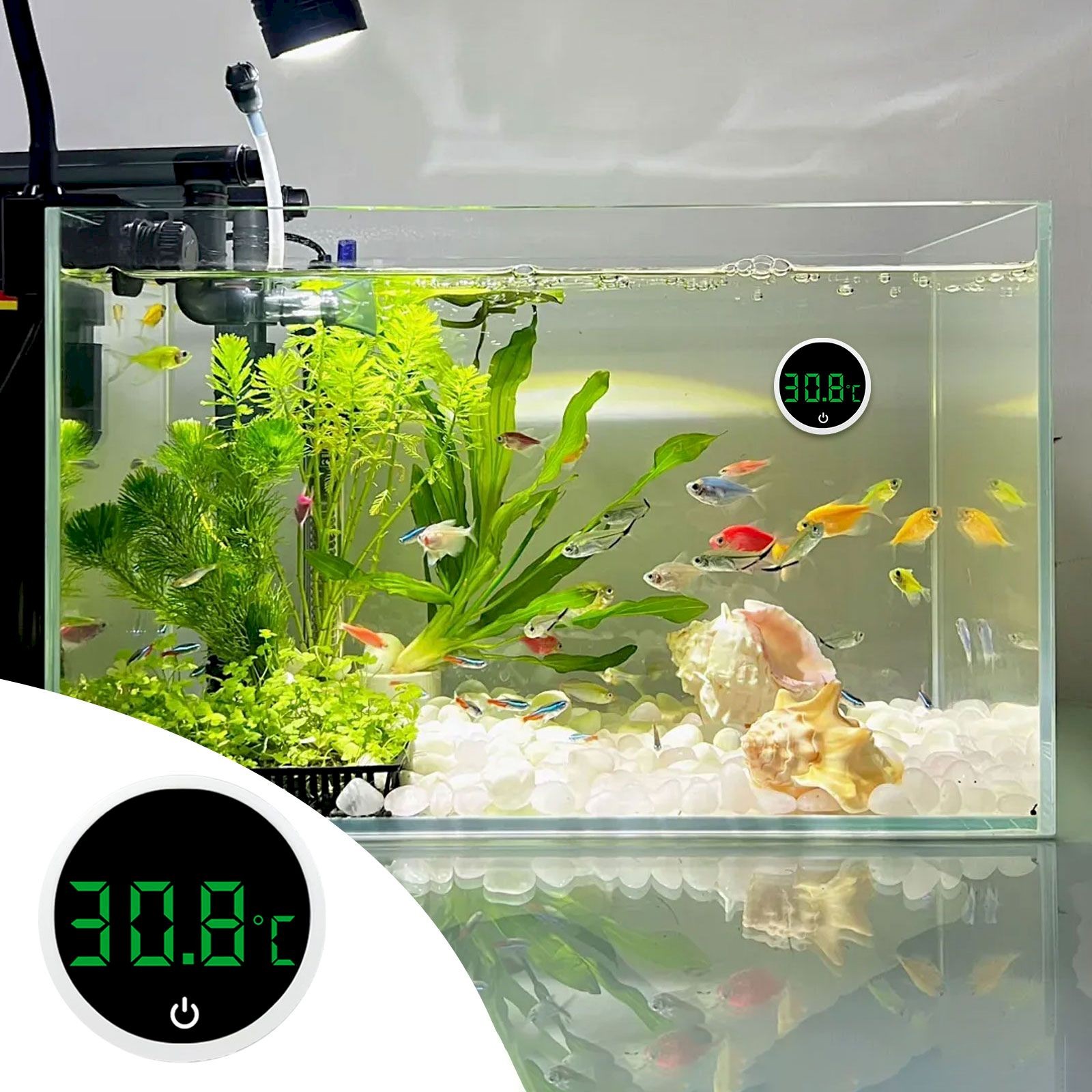 JJHGVB Digital Fish Tank Thermometer - Accurate LED Display | 0-140°F ...