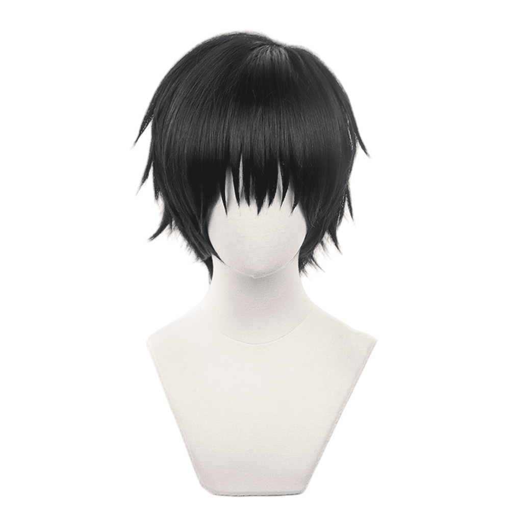 JJKcosplay Fushiguro Toji Cosplay Wig for anime Toji Fushiguro JJK ...