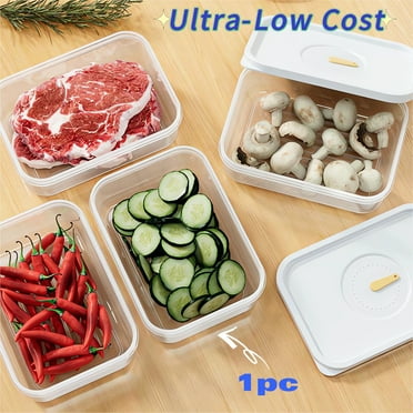 4 Pcs Refrigerator Containers with Lids Mini Fridge Vegetable Boxes ...