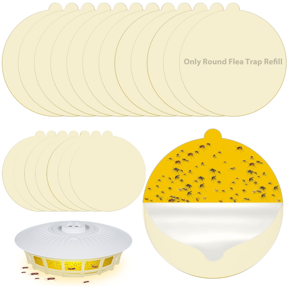 JLLOM 20pcs Glue Boards 7 Inches for Indoor Insect Fly Trap Sticky Pads ...