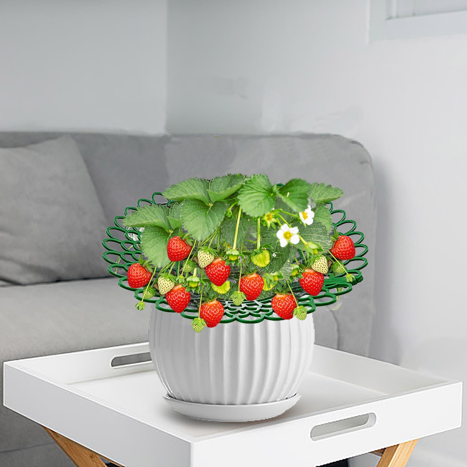 JLNFYA 10 Pack Strawberry Planter,Strawberry Plant Support,Strawberry ...