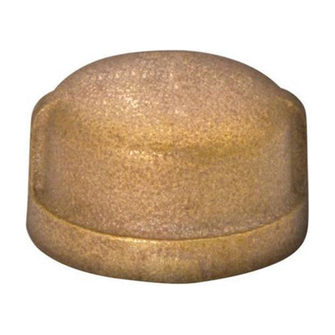 JMF 1.25 in. Threaded Cap - Walmart.com
