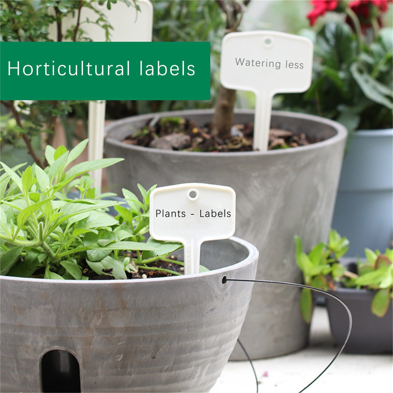 JMYHOAM Gardening Hand tools Flower Inserting Ground Card Gardening ...