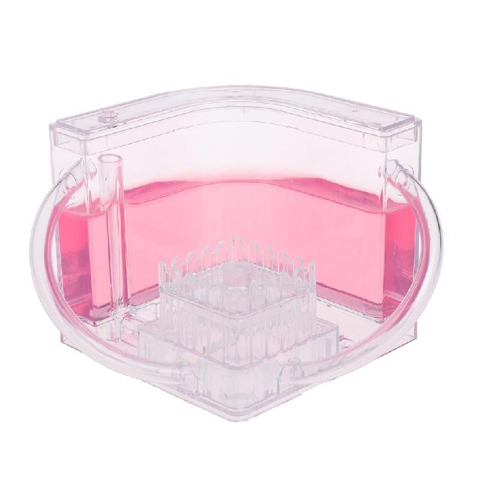 JNANEEI 3D Ant Farm Educational Maze Live Feeding System Ants Habitat ...