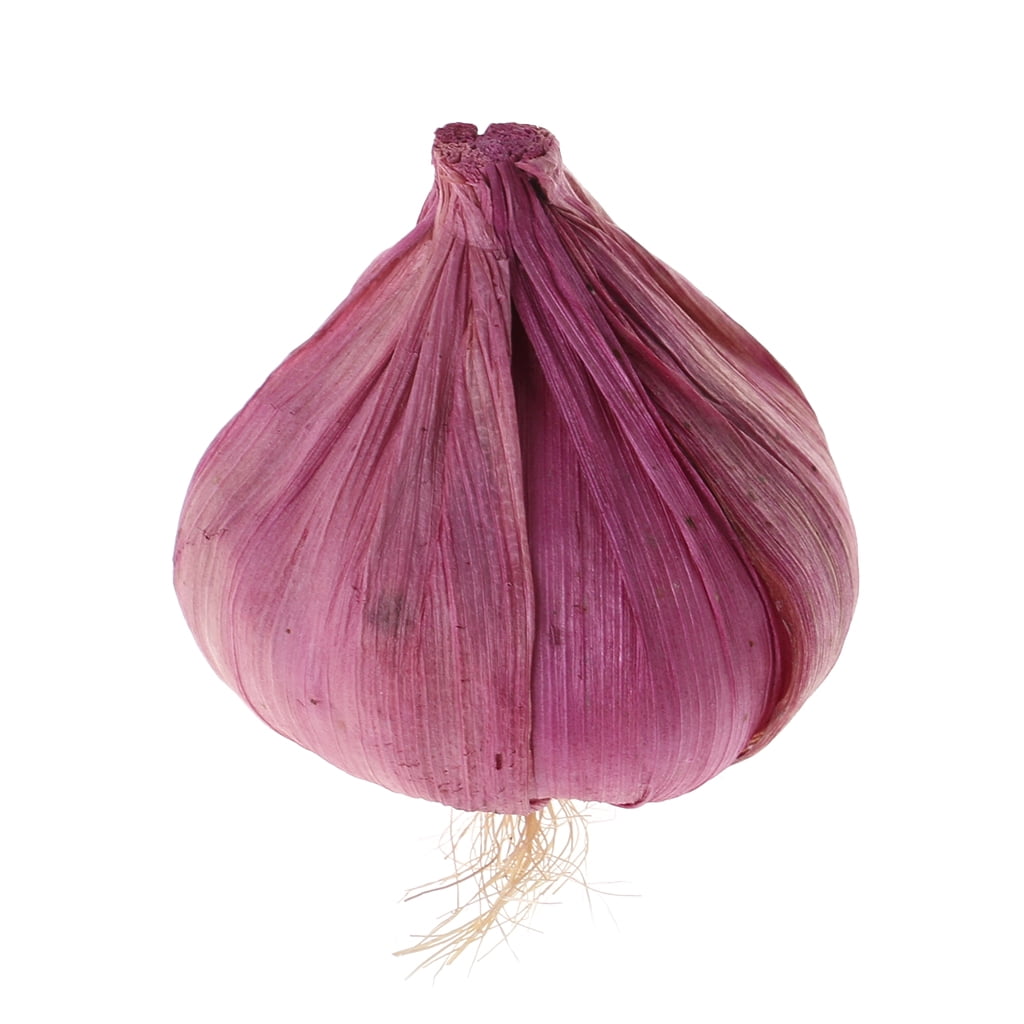 JNANEEI Artificial Garlic Food Fake Agriculture Gardening Display for ...