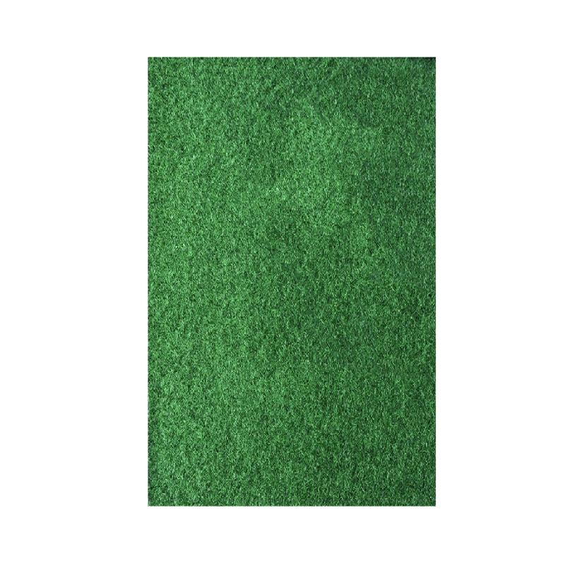 JNANEEI Practical Reptiles Carpet for Floor Protections Size Can Cut ...