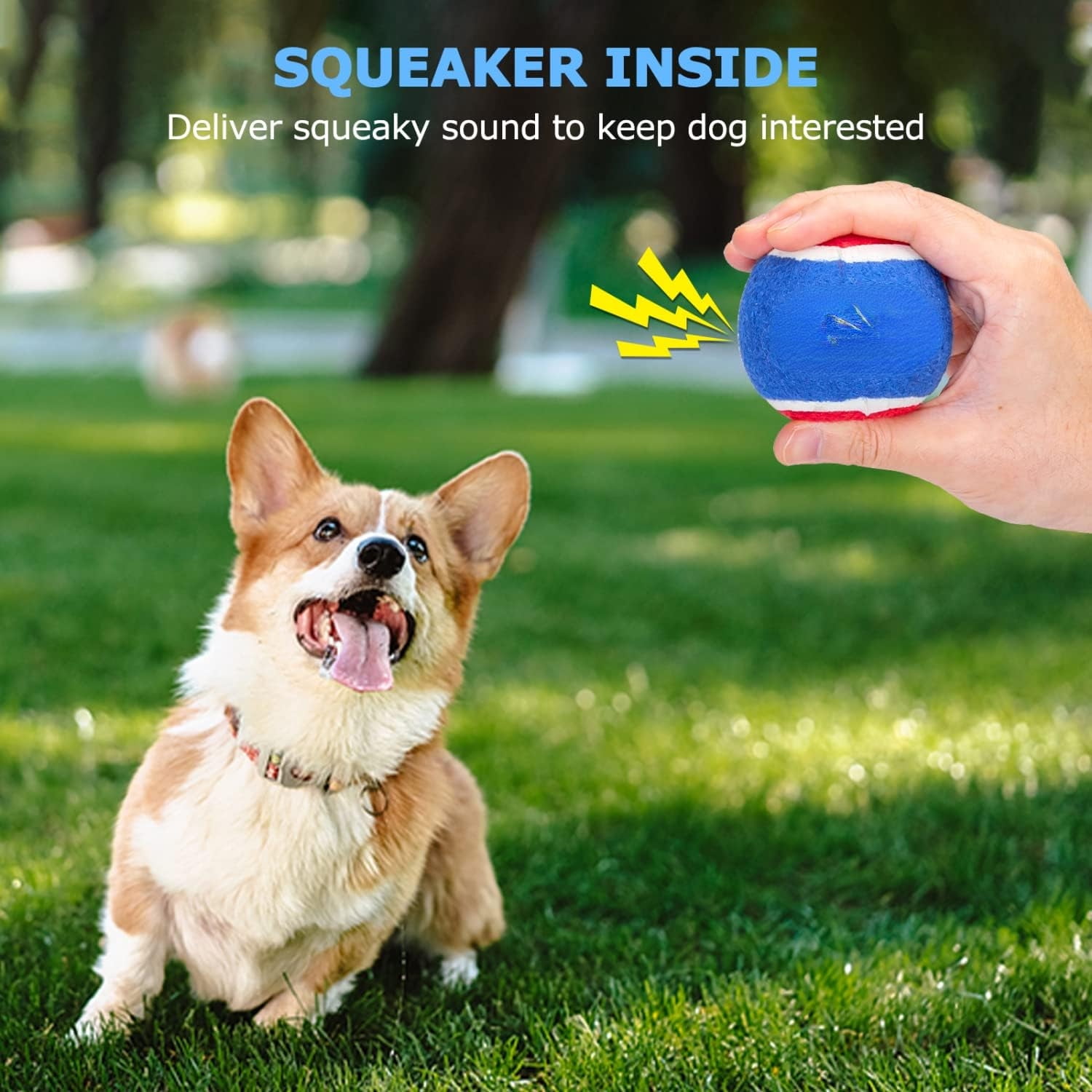 JNZOUHA High Quality 12 Pack Interactive Dog Tennis Balls - Squeaky ...