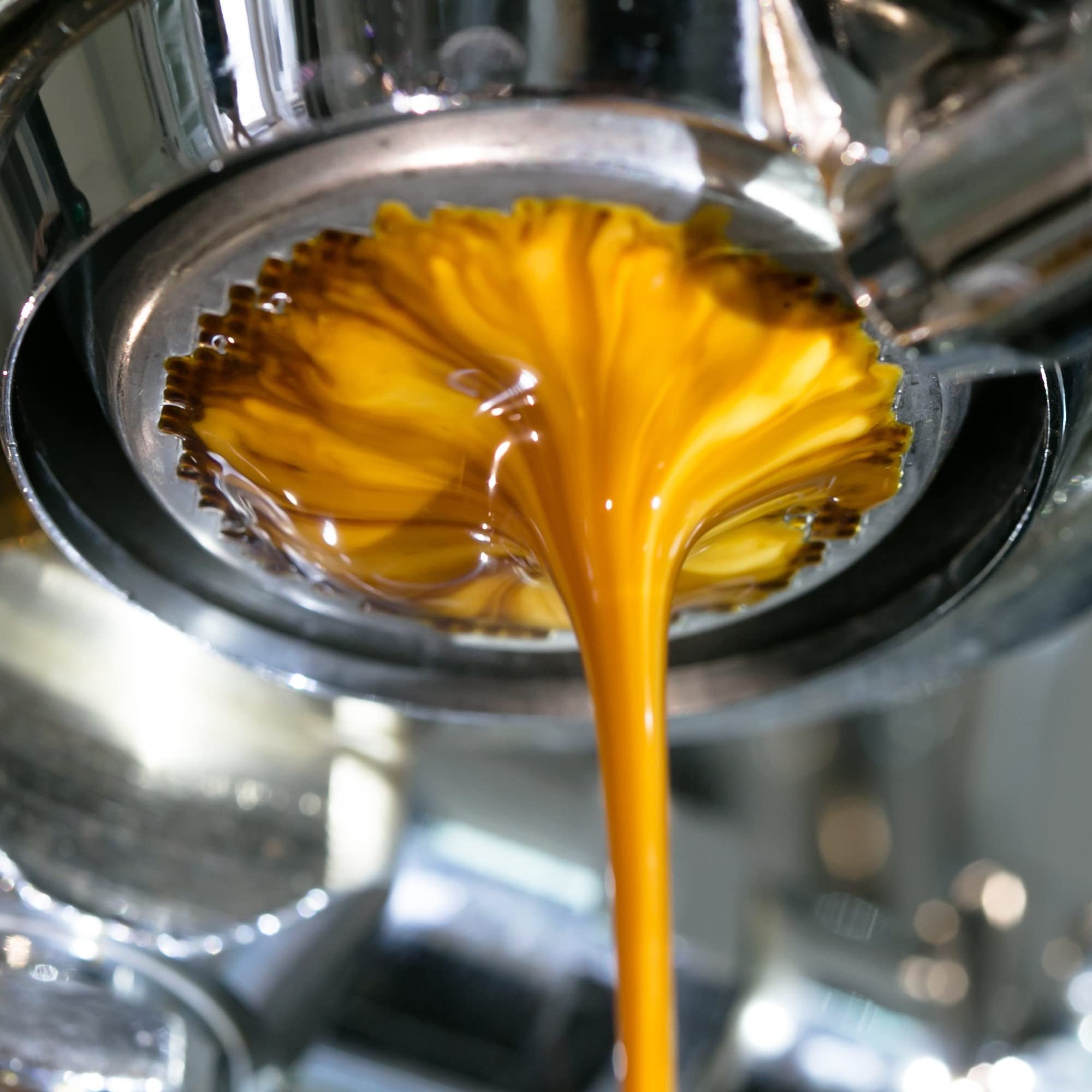 JO ESPRESSO: 2 SCH4 lb, Medium Dark Roast, Whole Organic Arabica ...
