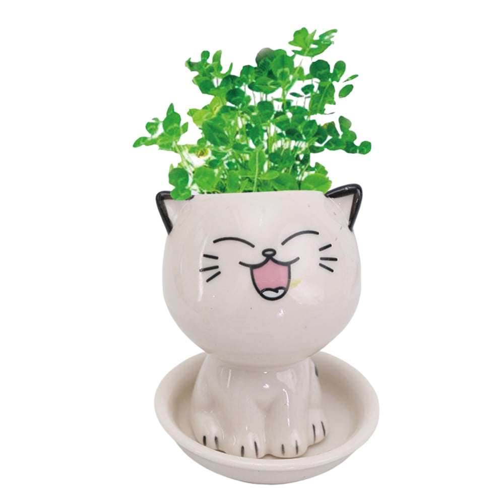 JOLIXIEYE Cat Shaped Ceramic Flowerpot Creative Facial Expression Cat ...