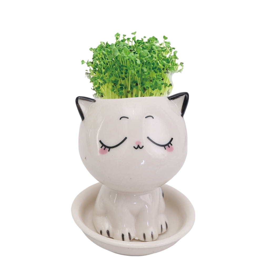 JOLIXIEYE Cat Shaped Ceramic Flowerpot Creative Facial Expression Cat ...