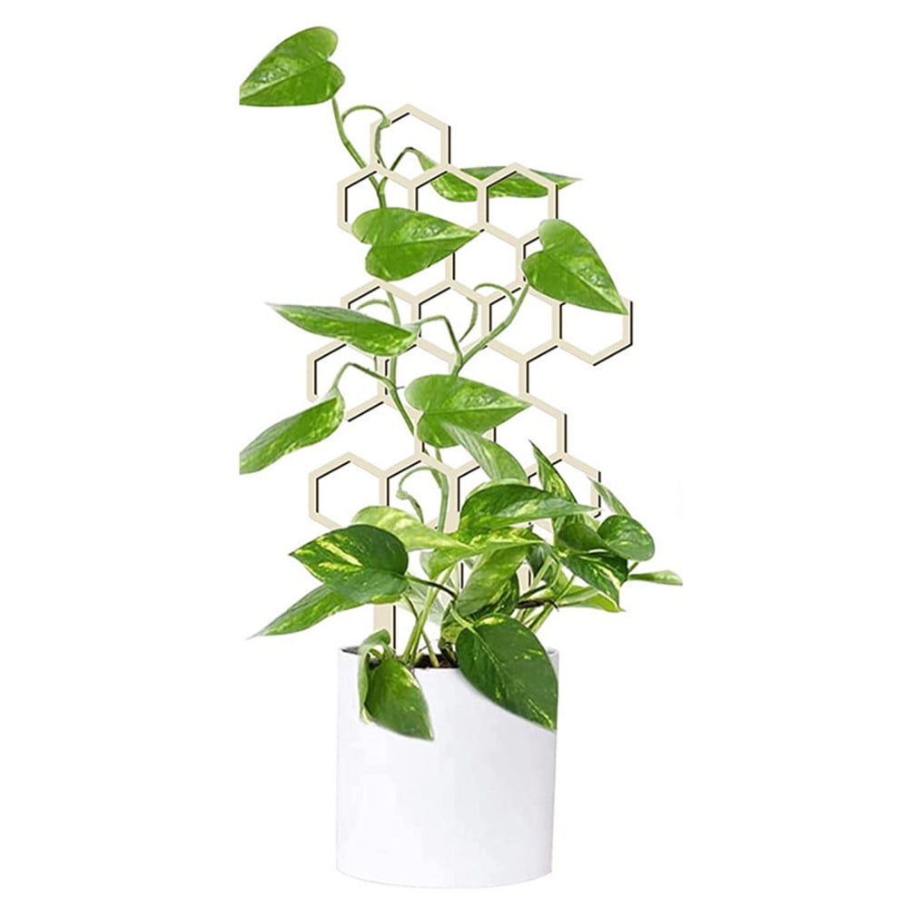JOLIXIEYE Plant Vine Climbing Support Frame Potted Plants Supporting ...