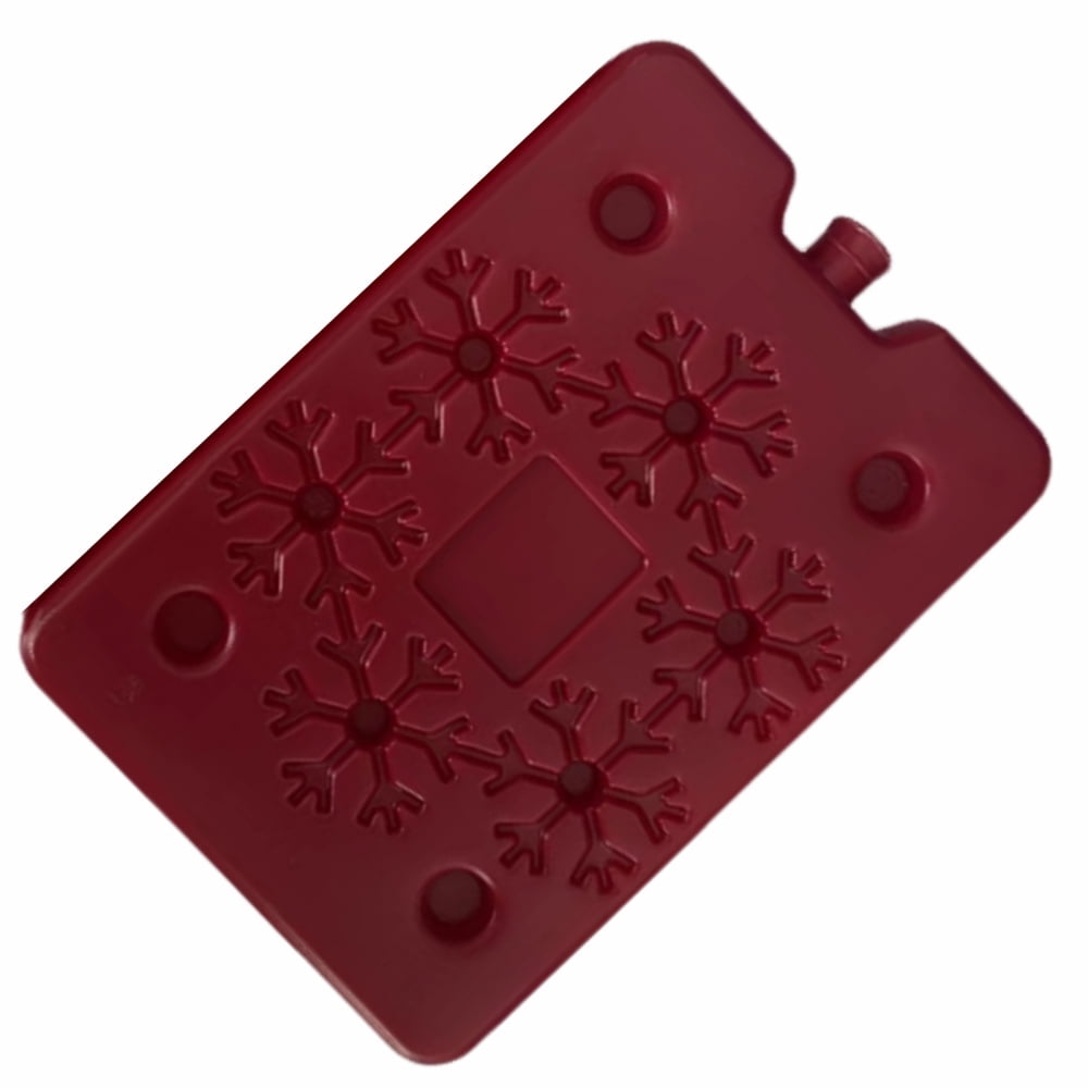 JOLIXIEYE Reusable Shipping Frozen Ice Pack Box Heavy Duty Quick ...