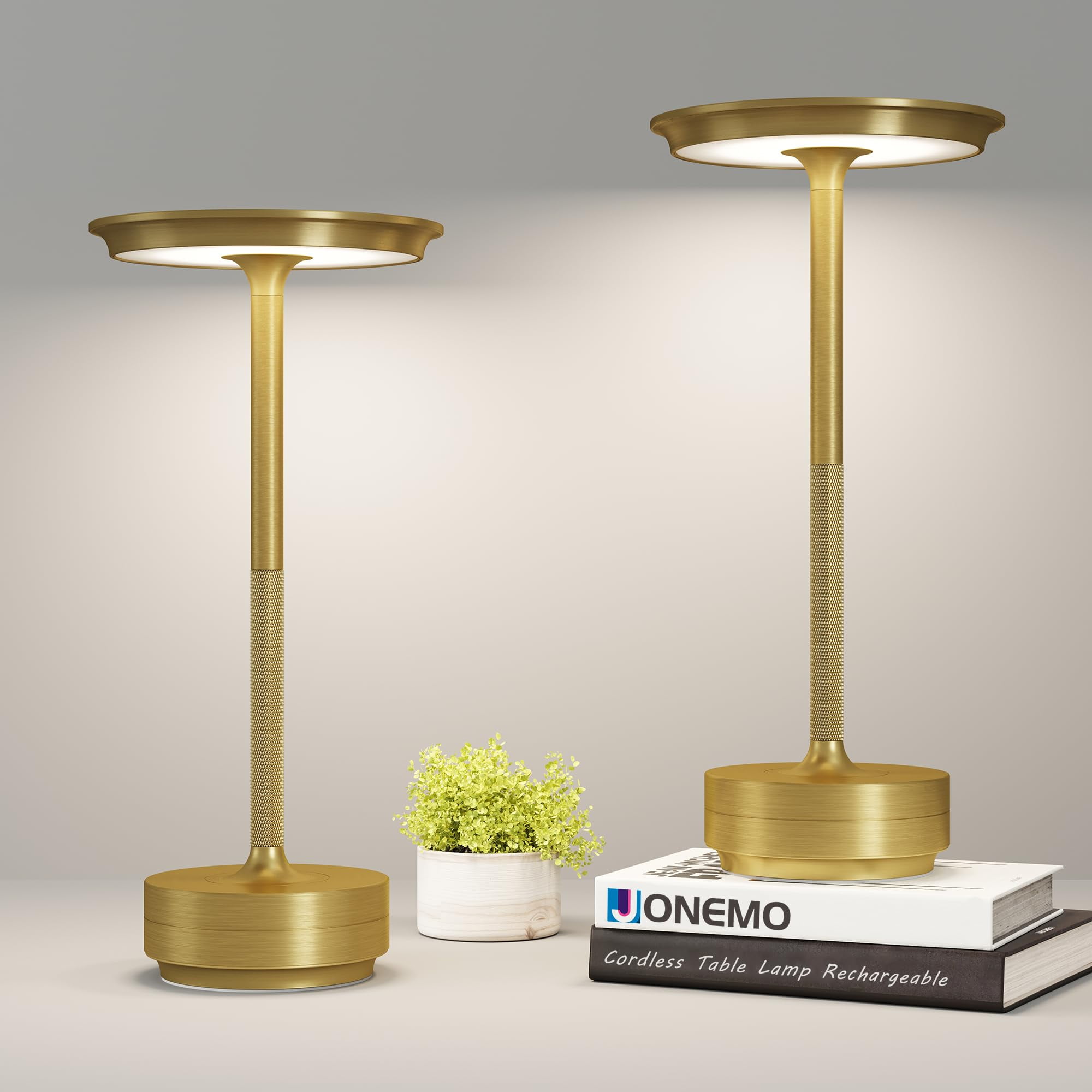 JONEMO 2 Pack Cordless Table Lamp, LED Rechargeable Table Light with 3 ...